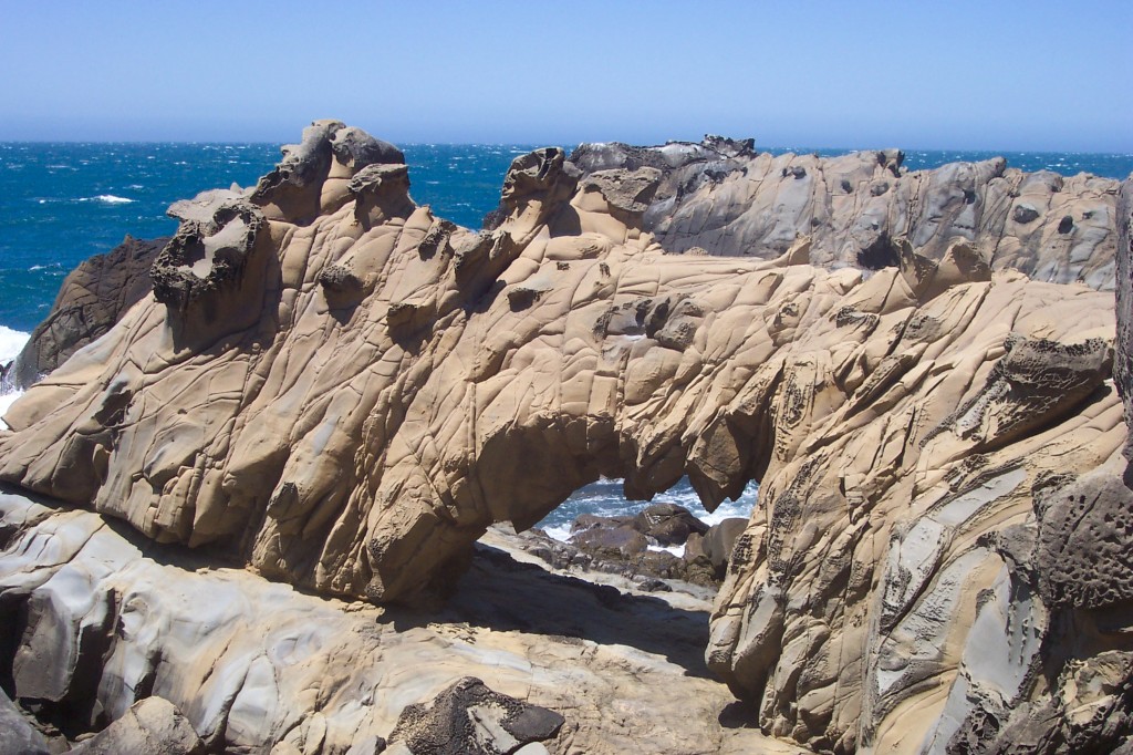 Salt Point Coastwalk California