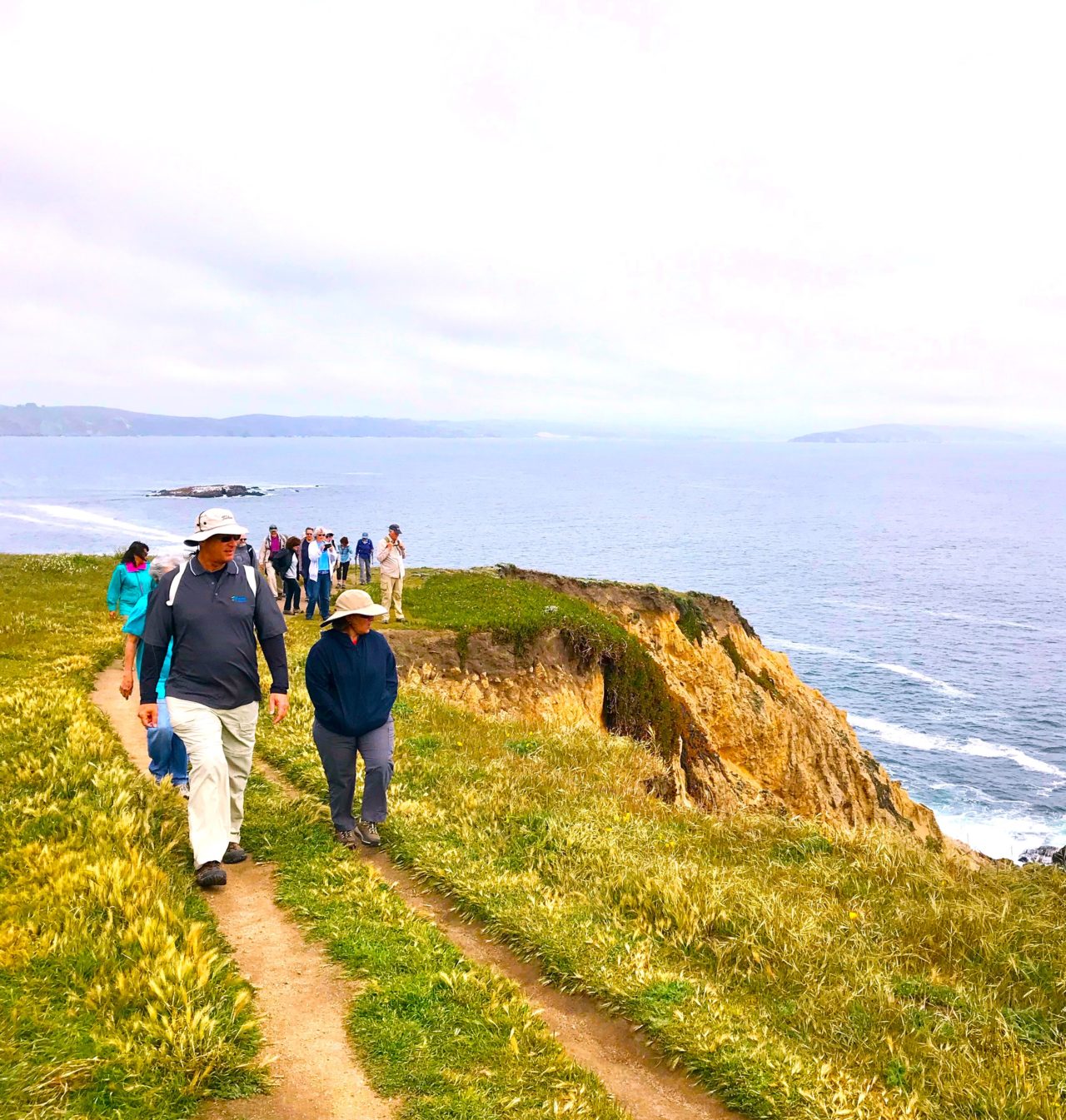Coastwalk California | Support the California Coastal Trail and our coast
