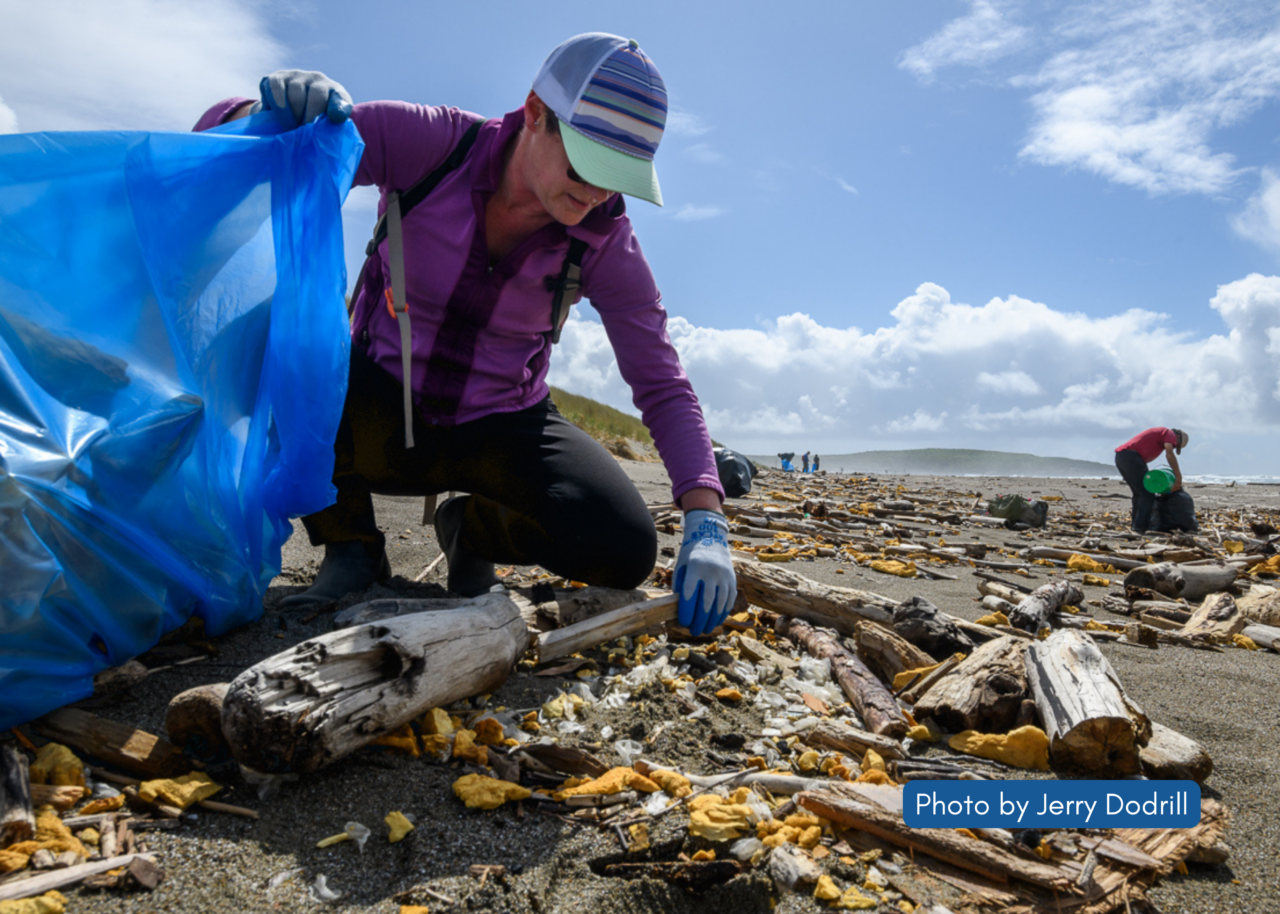 California Coastal Cleanup Day | Coastwalk California